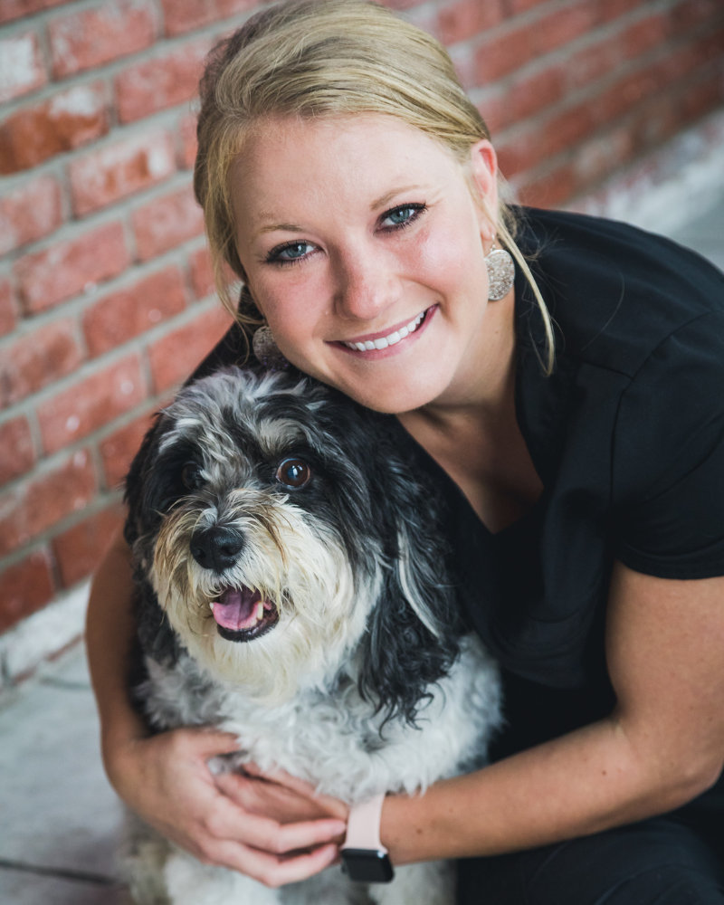 Veterinarian In Wentzville, MO | Bear Creek Animal Hospital