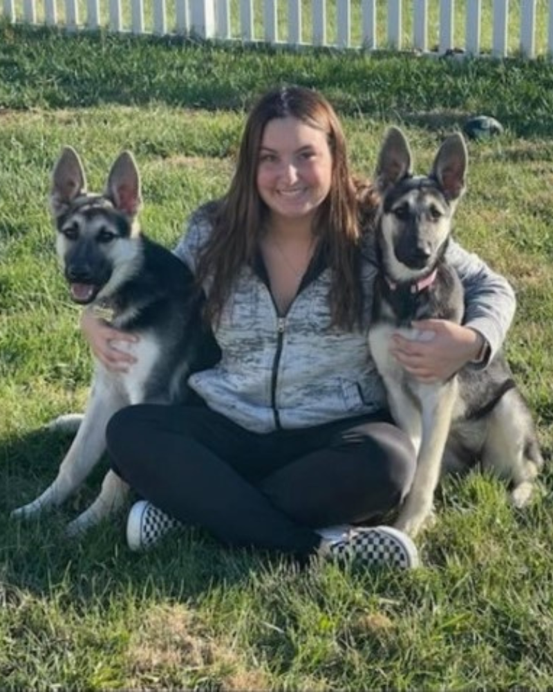 Veterinarian In Wentzville, MO | Bear Creek Animal Hospital