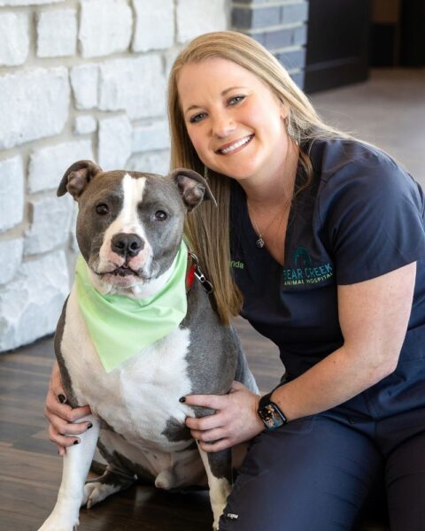 Veterinarian In Wentzville, MO | Bear Creek Animal Hospital