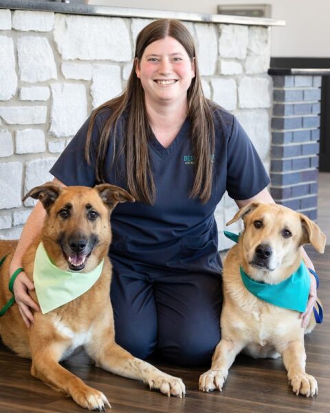 Veterinarian In Wentzville, MO | Bear Creek Animal Hospital