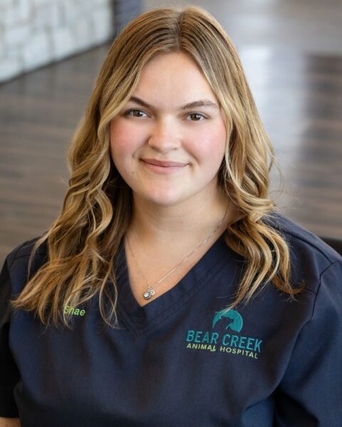 Veterinarian In Wentzville, MO | Bear Creek Animal Hospital